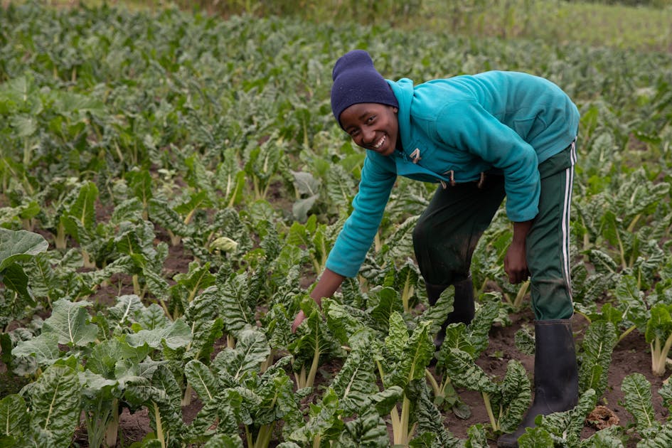 Fun and life-changing conversations – ACES Festival of Cooling